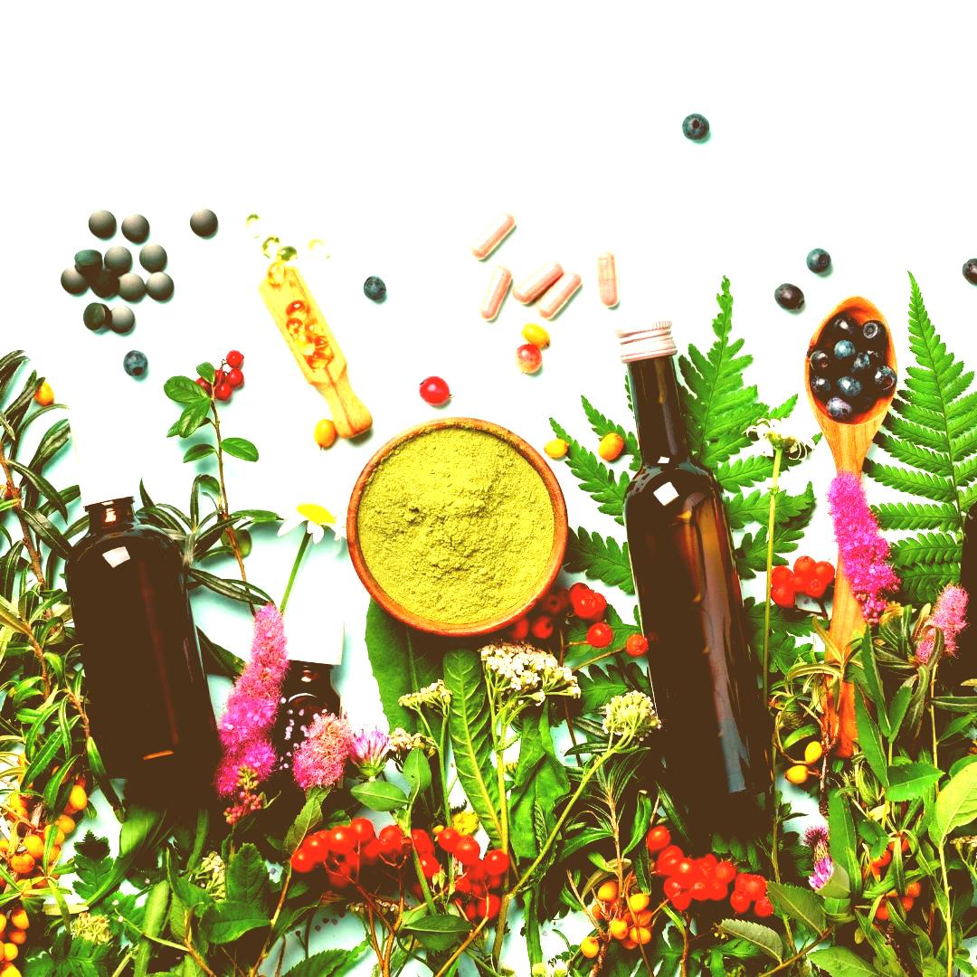 COMO FUNCIONA A NATUROPATIA? – Espinheira Santa Naturopatia